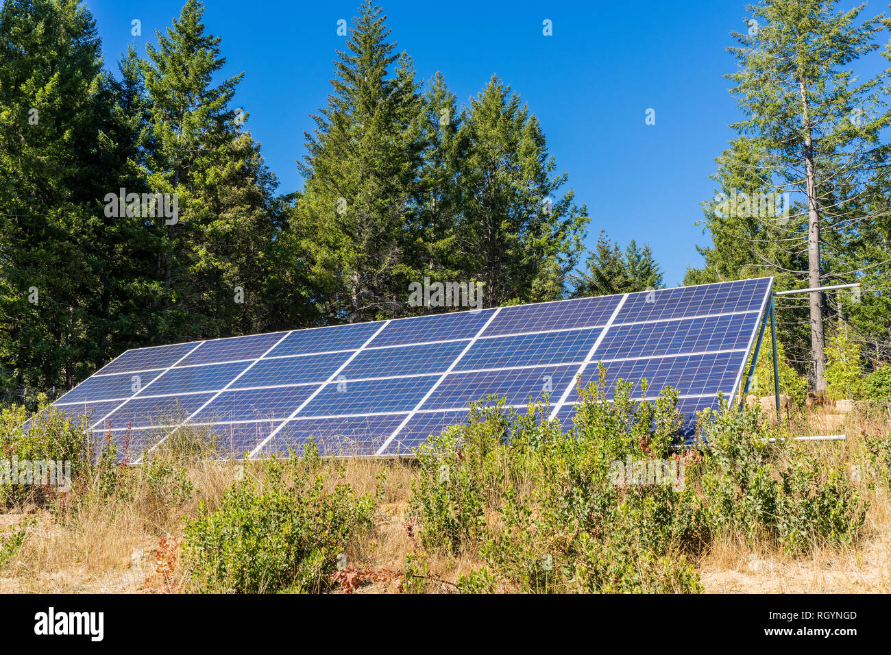 Solar panels to generate electricity suroounded by trees. Wide ...