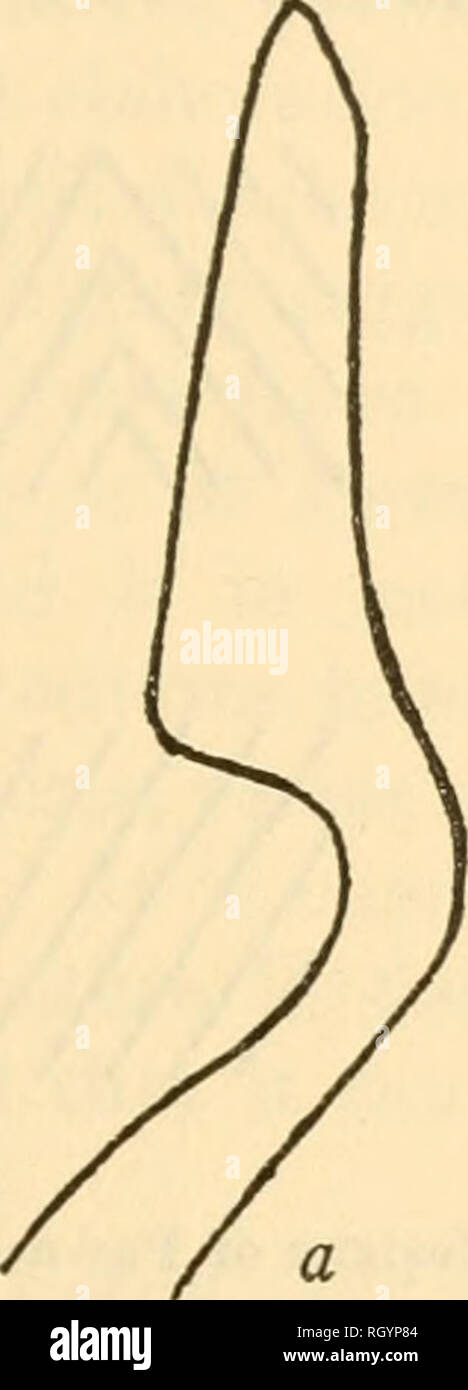 Overhanging lip hi-res stock photography and images - Alamy