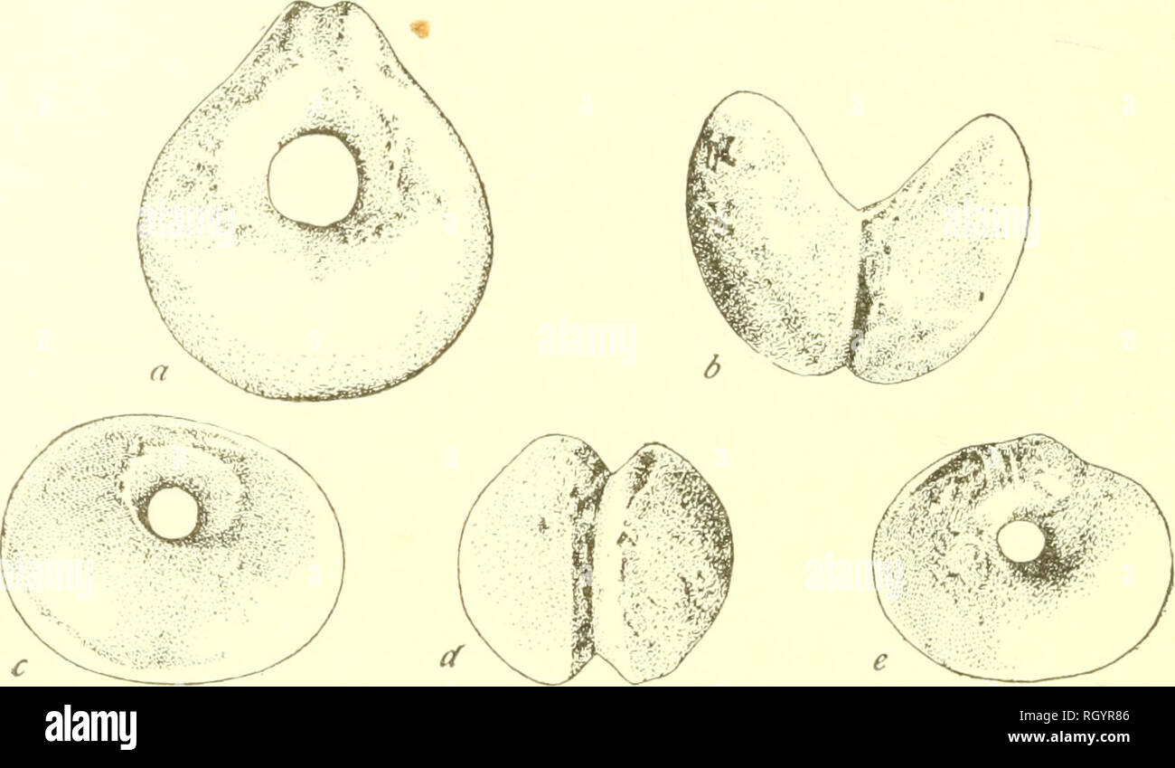 Harpoon shafts hi-res stock photography and images - Alamy