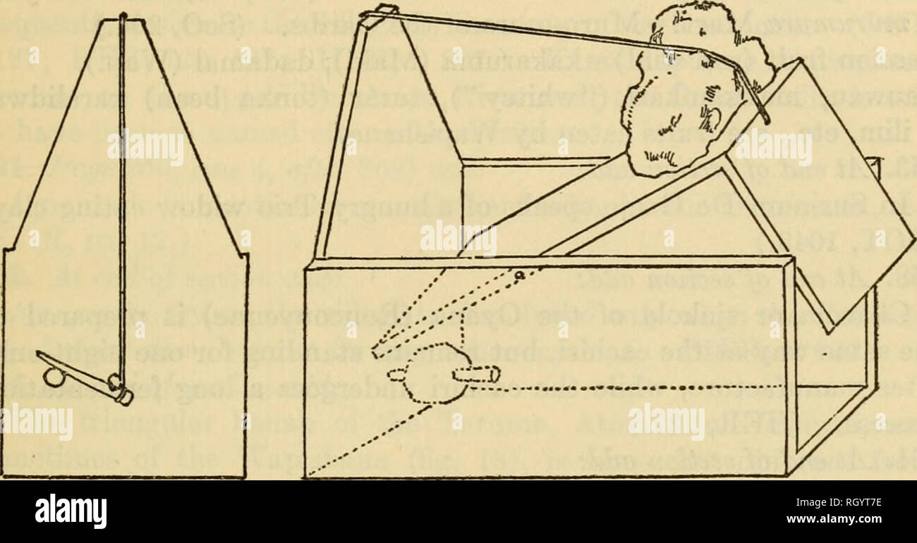 Box crab trap hi-res stock photography and images - Alamy