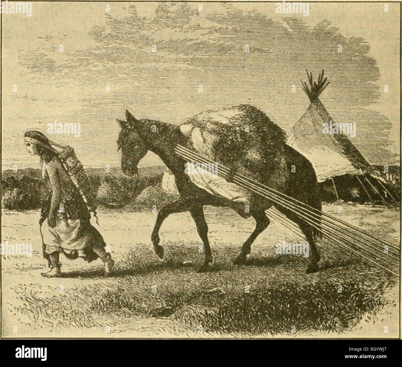 Plain indians hi-res stock photography and images - Alamy