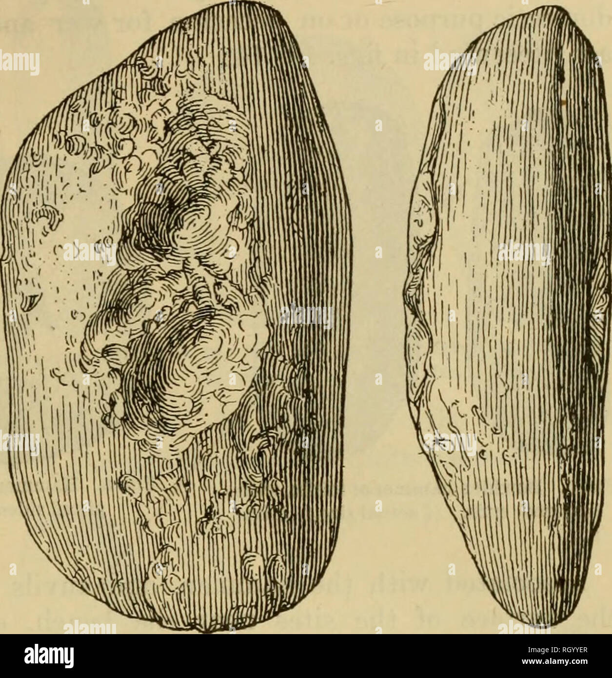 Anvil stones hi-res stock photography and images - Alamy