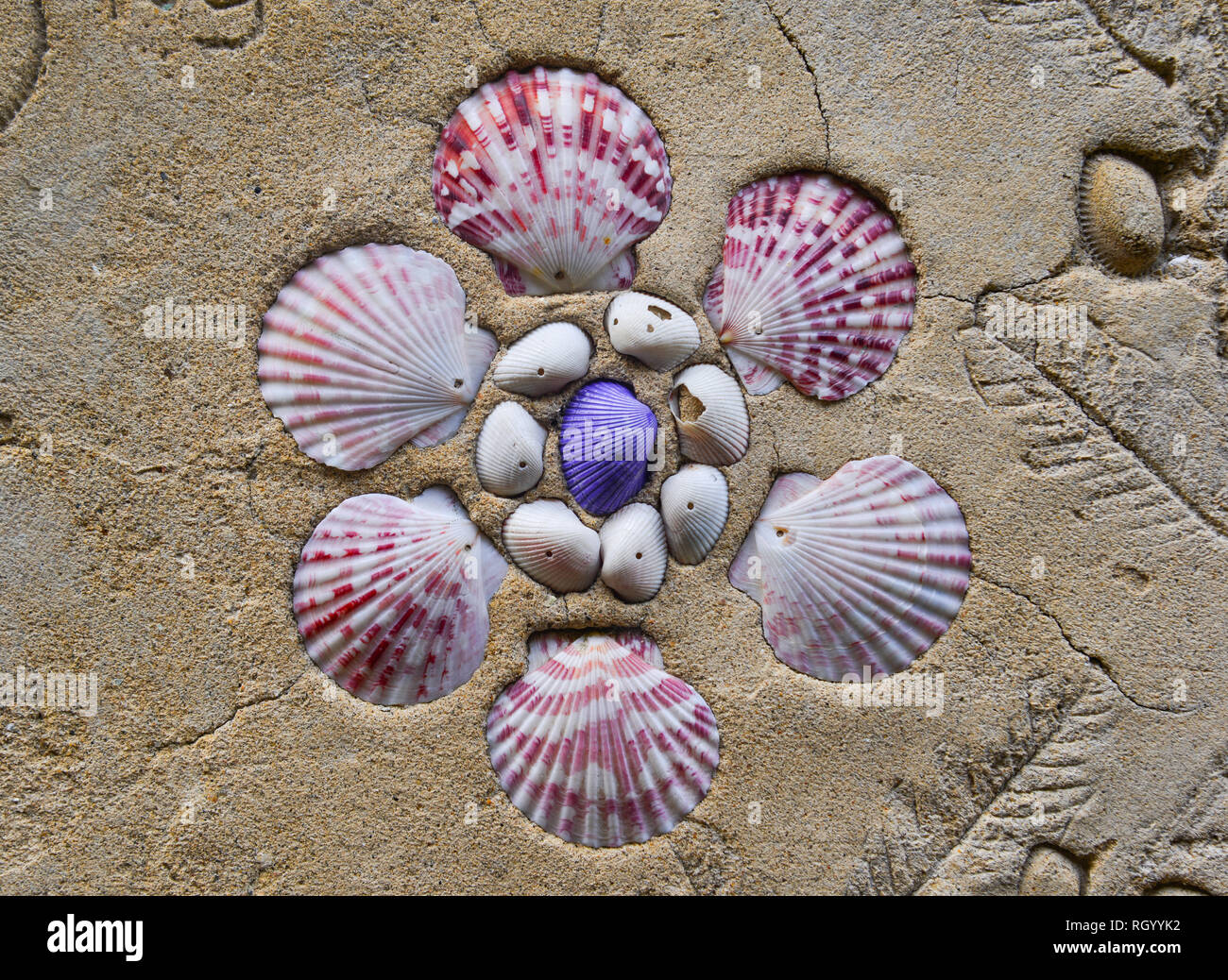 Concrete wall with shell decoration at rural house Stock Photo - Alamy
