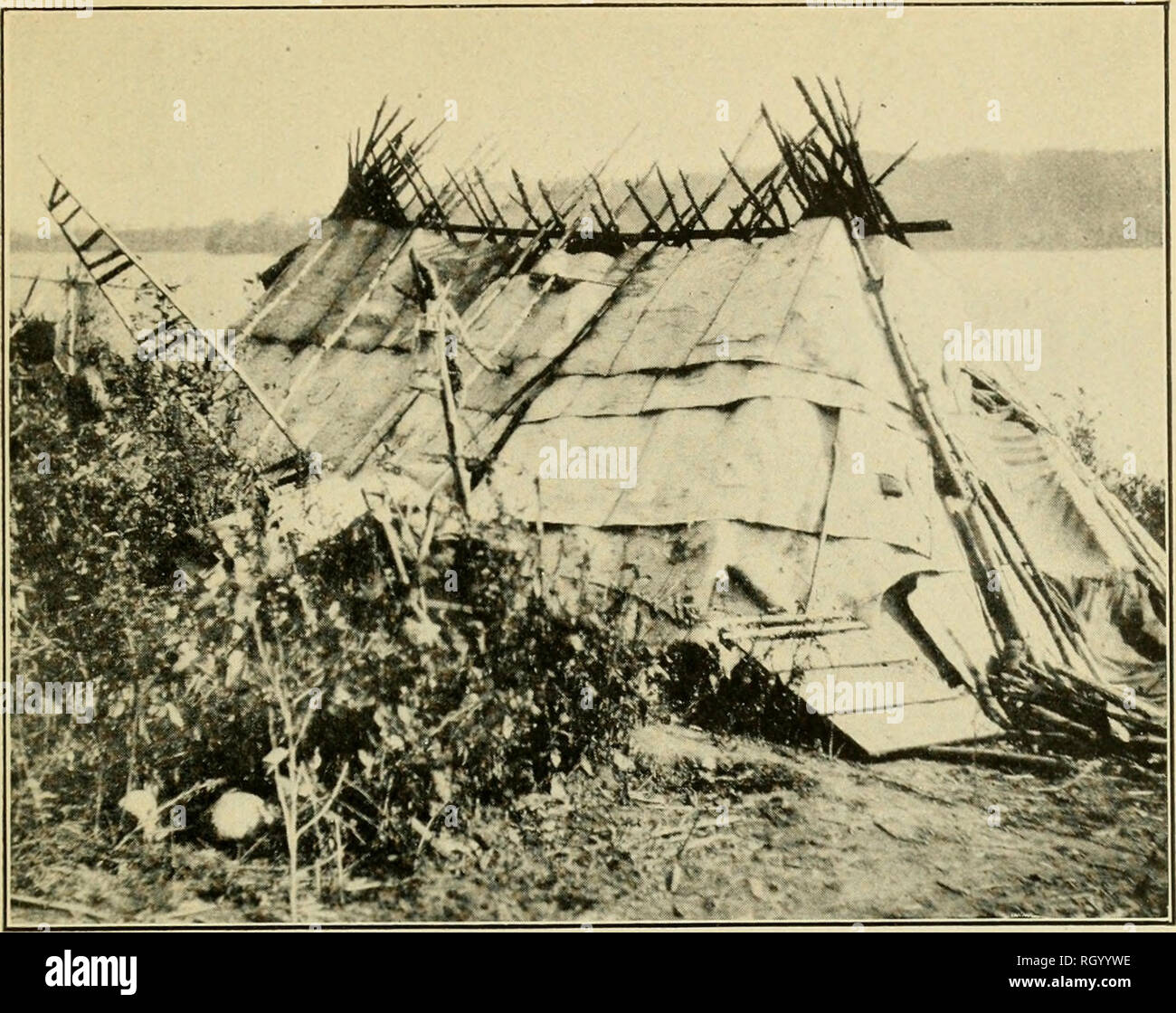 Birch bark wigwam hi-res stock photography and images - Alamy