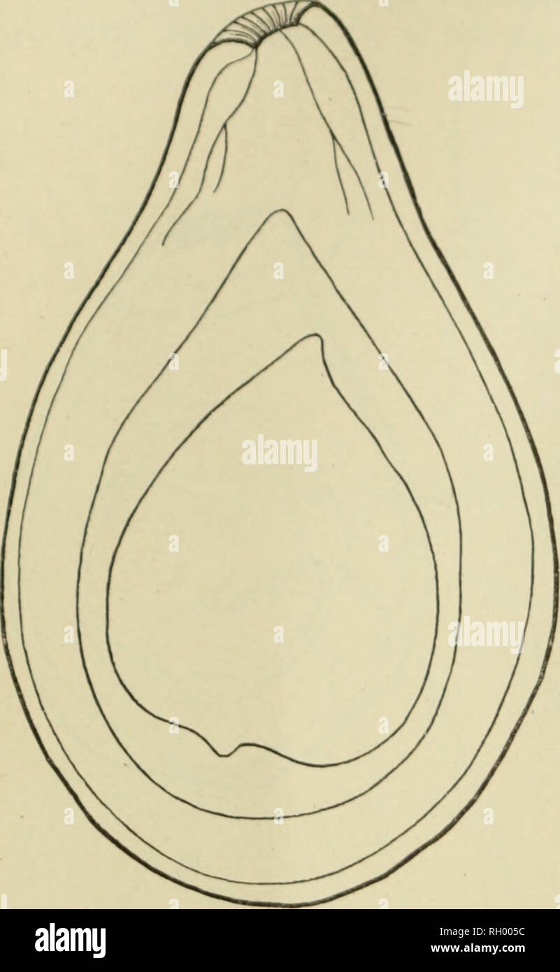 Okida hi-res stock photography and images - Alamy