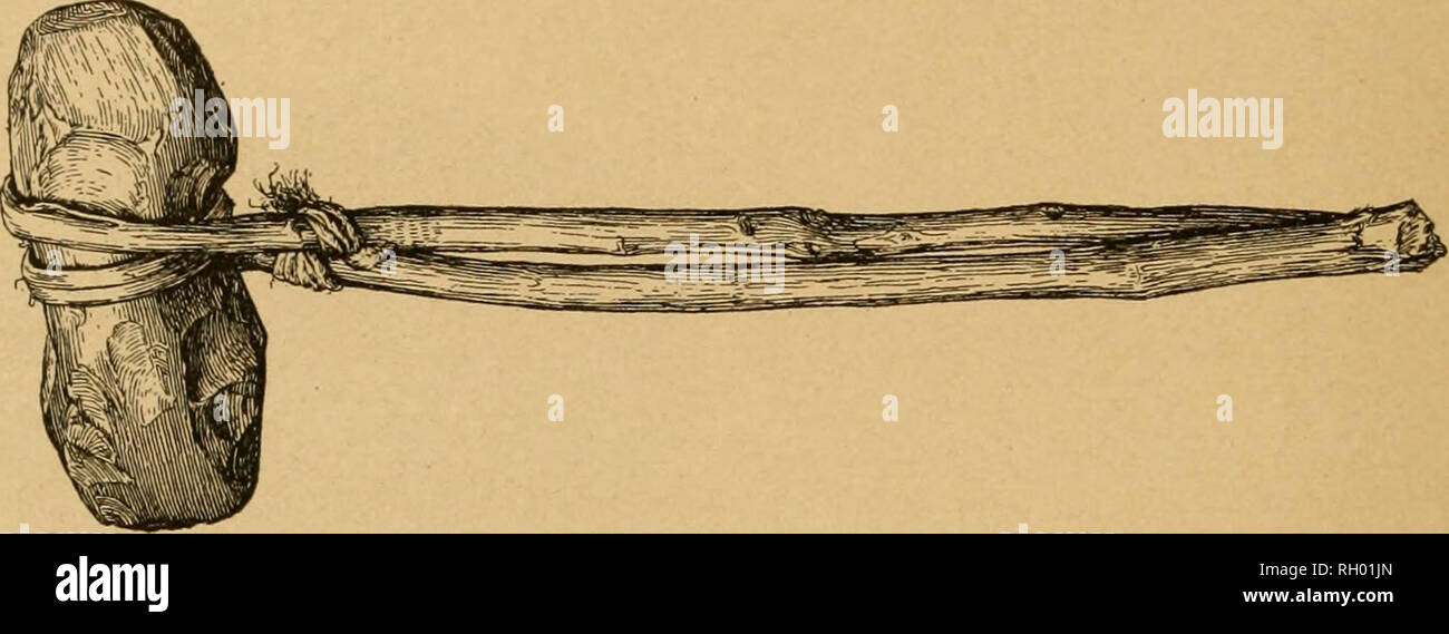 Antelope badge hi-res stock photography and images - Alamy