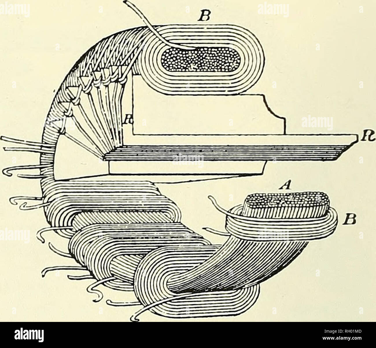 . Bulletin. Science. Figure 53.—Gramme's ring armature, showing the ...