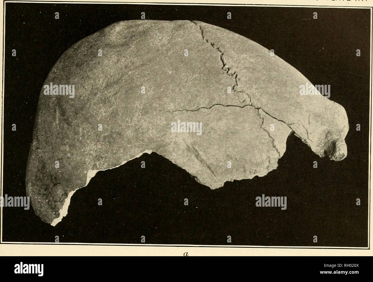 . Bulletin. Ethnology. BUREAU OF AMERICAN ETHNOLOGY BULLETIN 33 PLATE ...