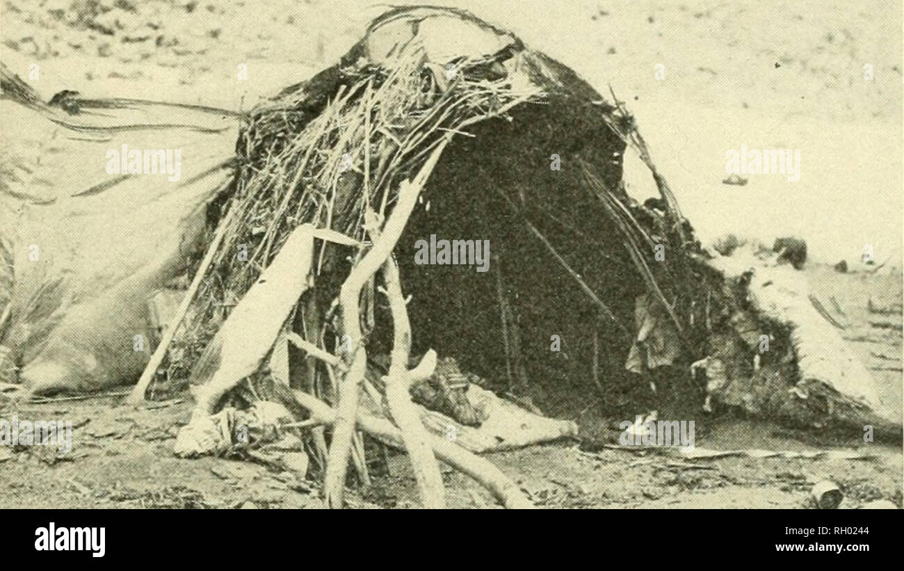 Apache medicine man hi-res stock photography and images - Alamy