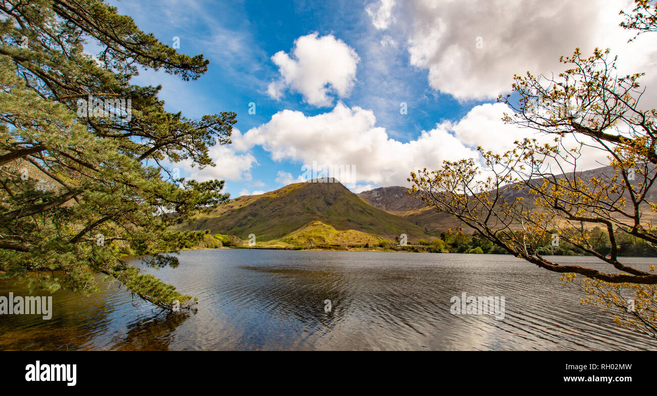 Irish Lake With Mountains and Trees Stock Photo - Alamy
