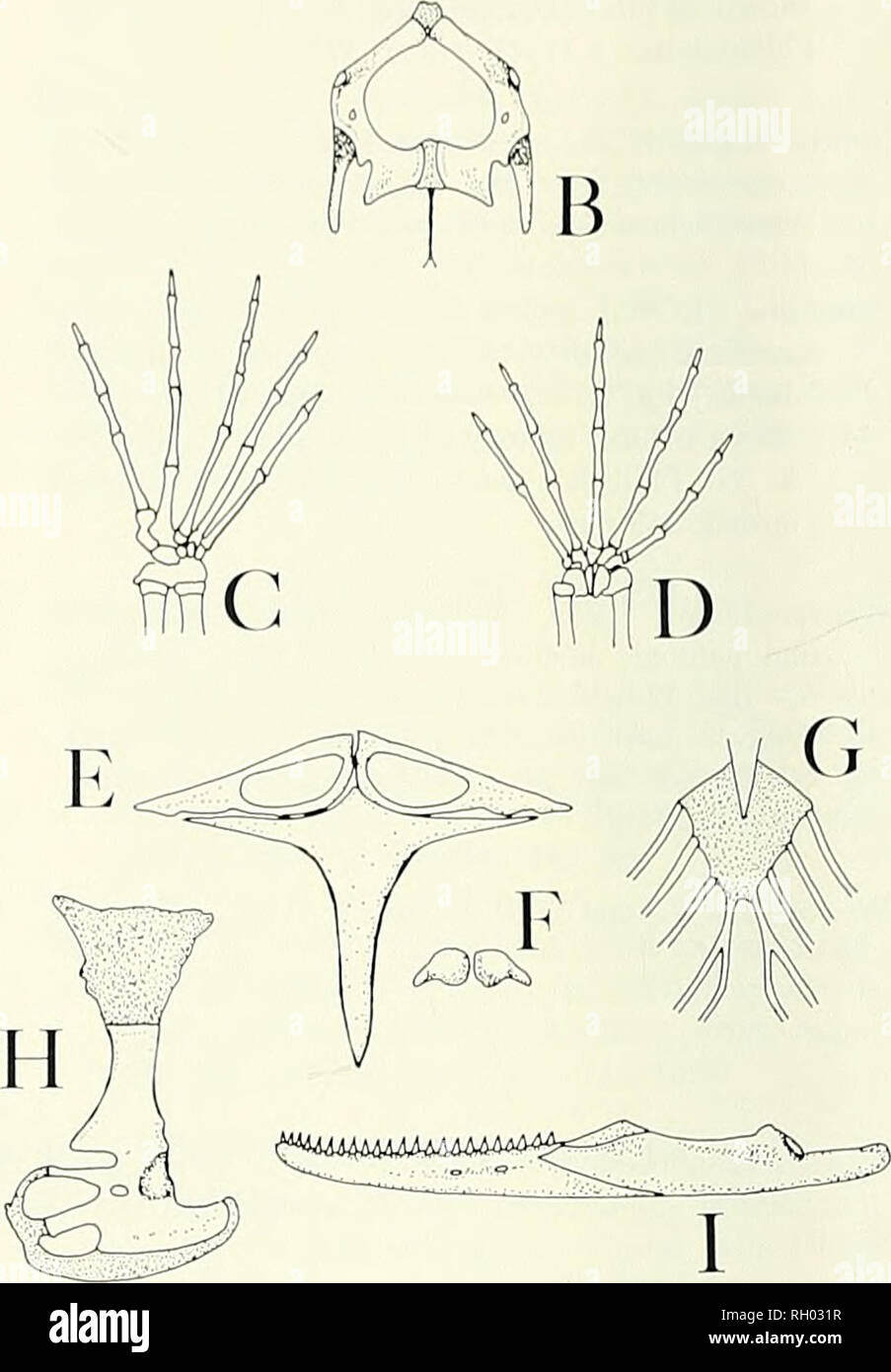 . Bulletin. Science; Natural history; Natural history. Figure 1. Some ...
