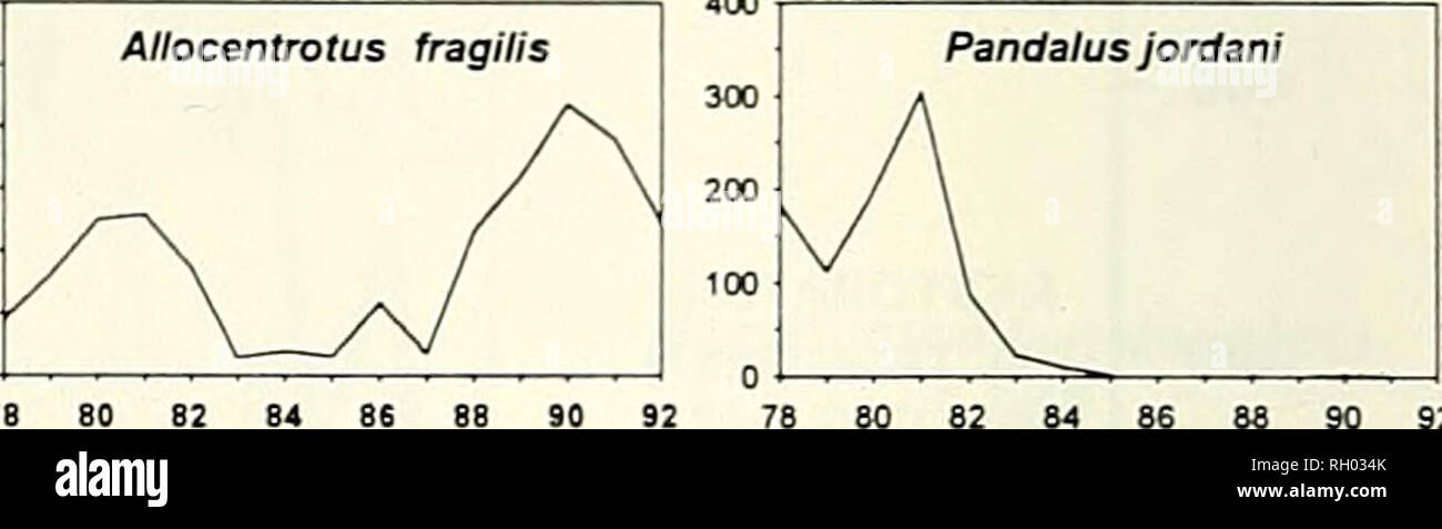 Sea urchin lytechinus pictus hi-res stock photography and images - Alamy