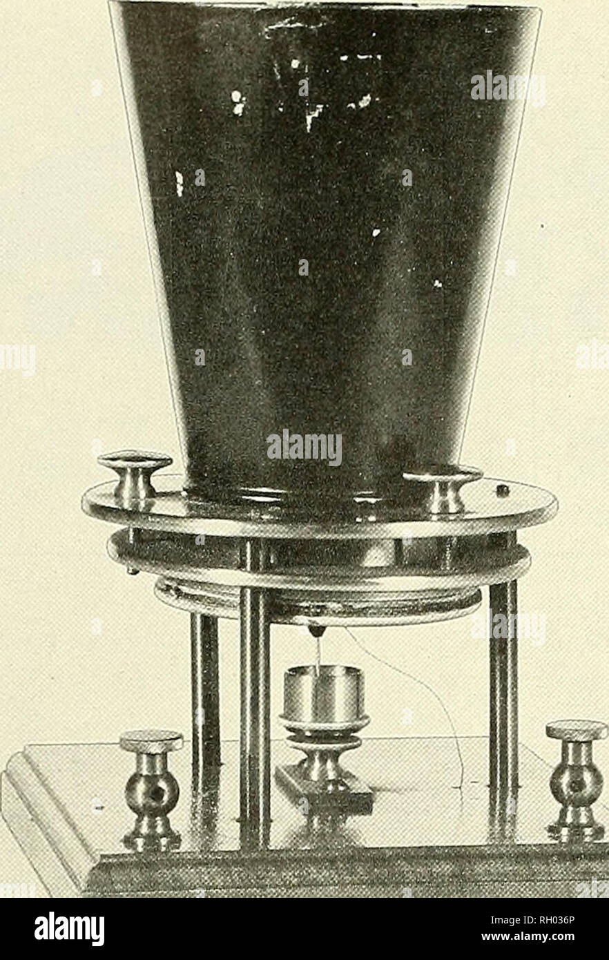 Belfs hi-res stock photography and images - Alamy