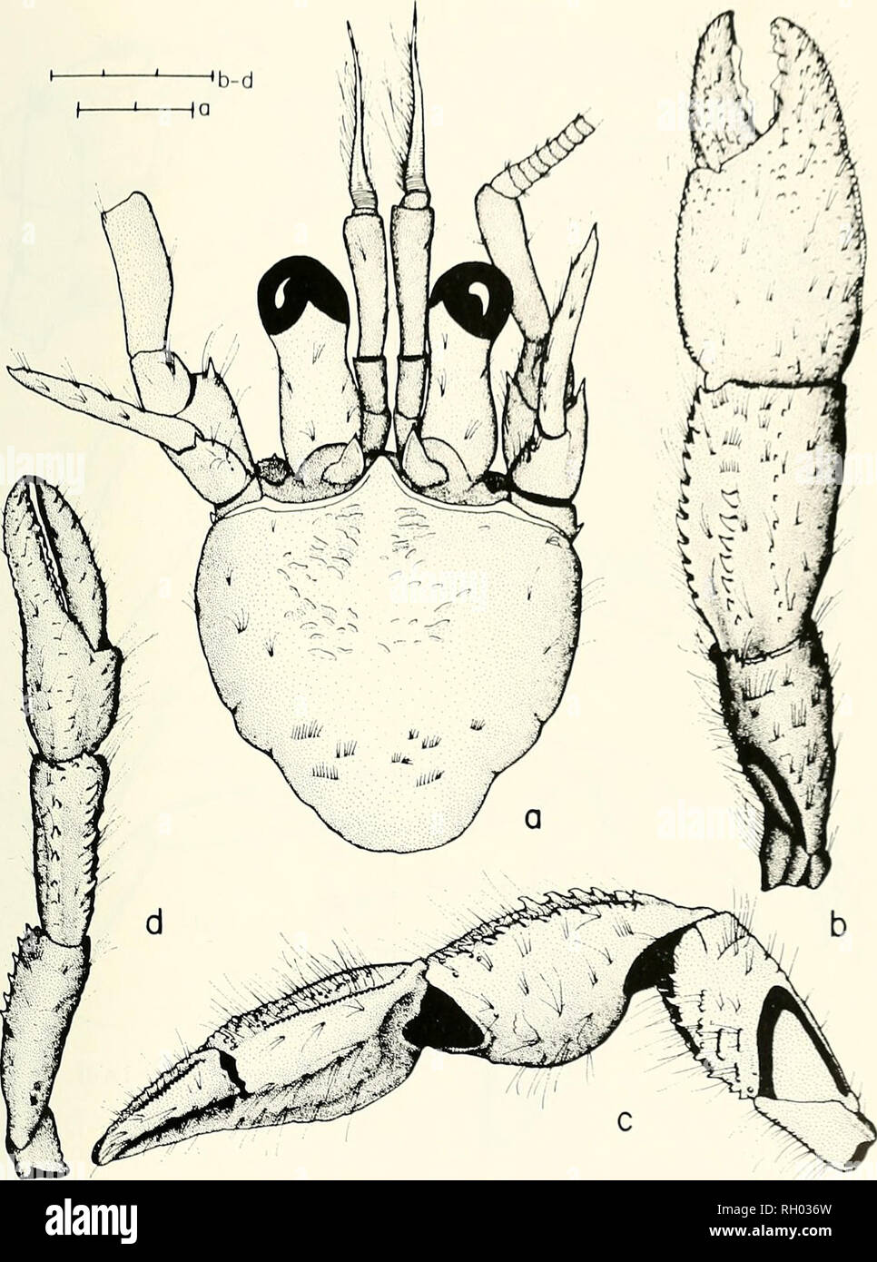 1973 velero hi-res stock photography and images - Alamy