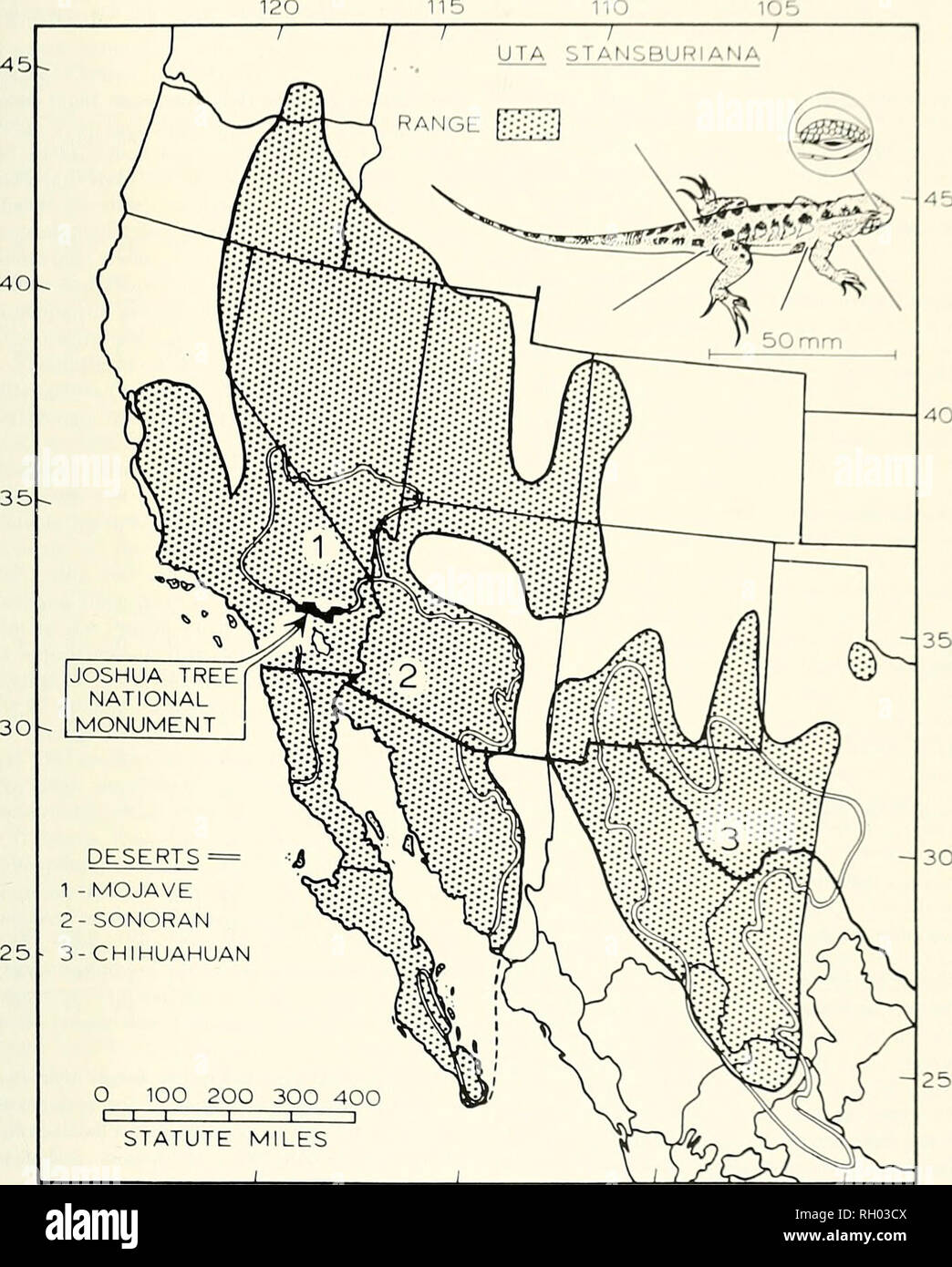 . Bulletin. Science; Natural history; Natural history. 1973 CHICGERS I ...