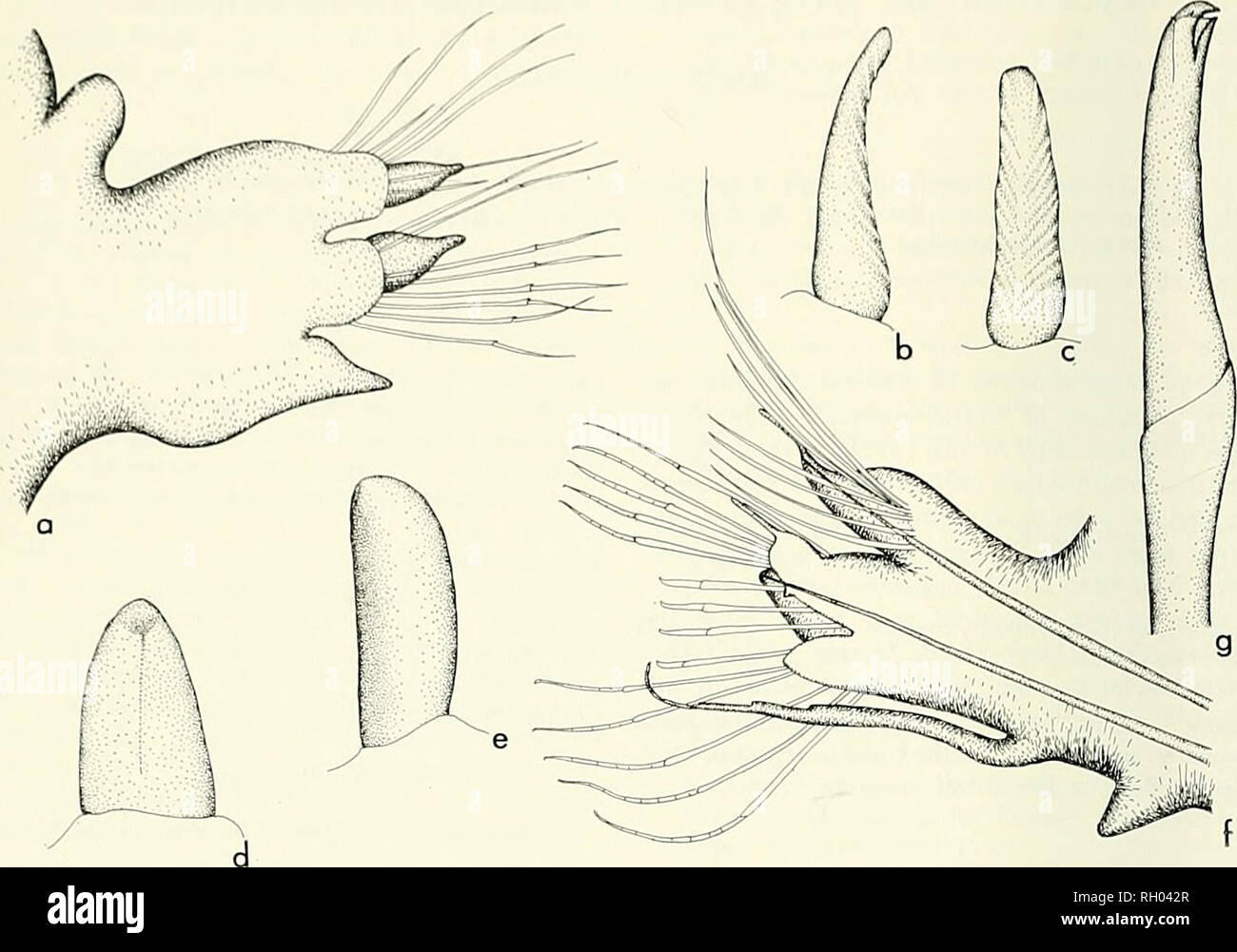 Playa remota hi-res stock photography and images - Alamy