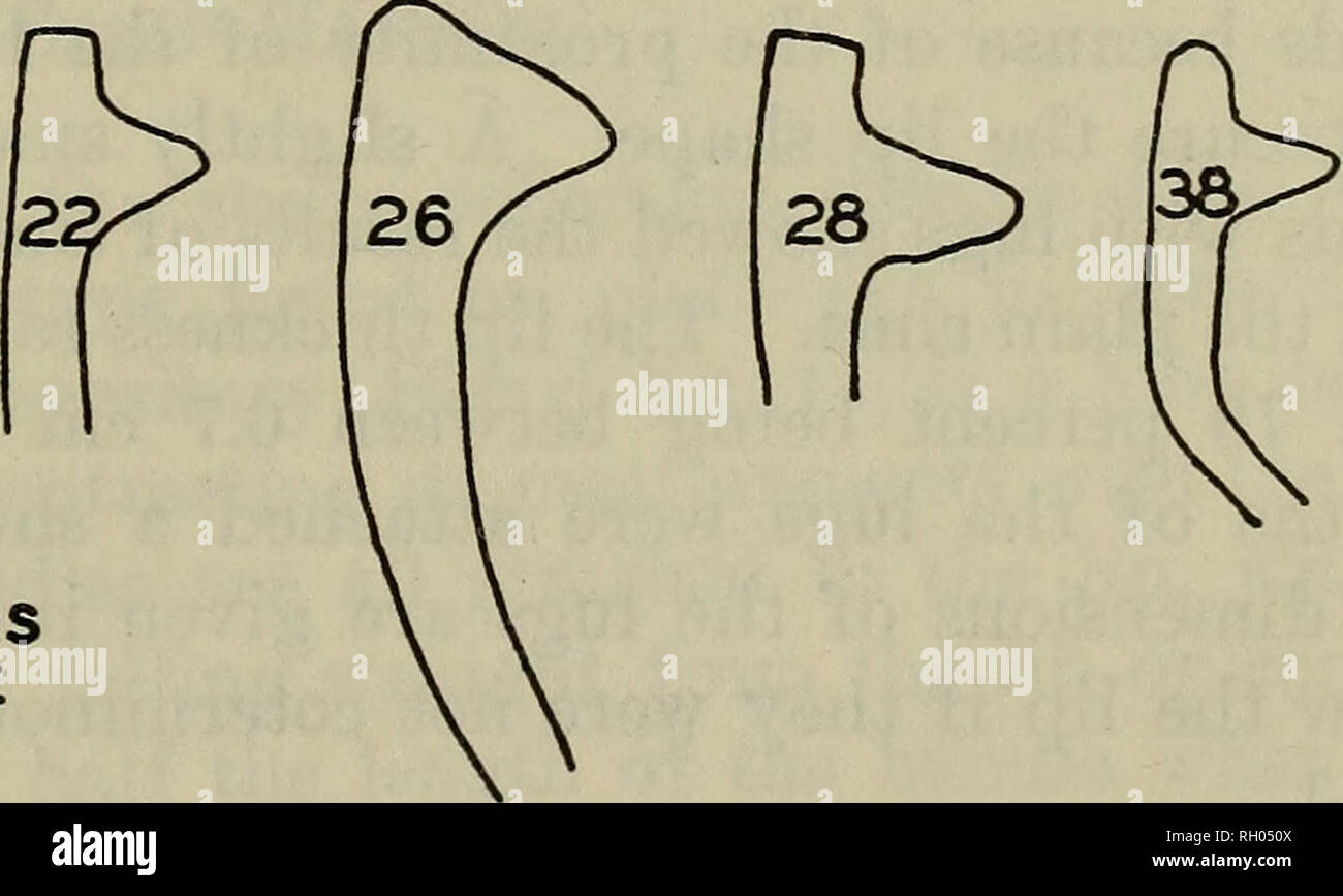 Body sherd hi-res stock photography and images - Alamy