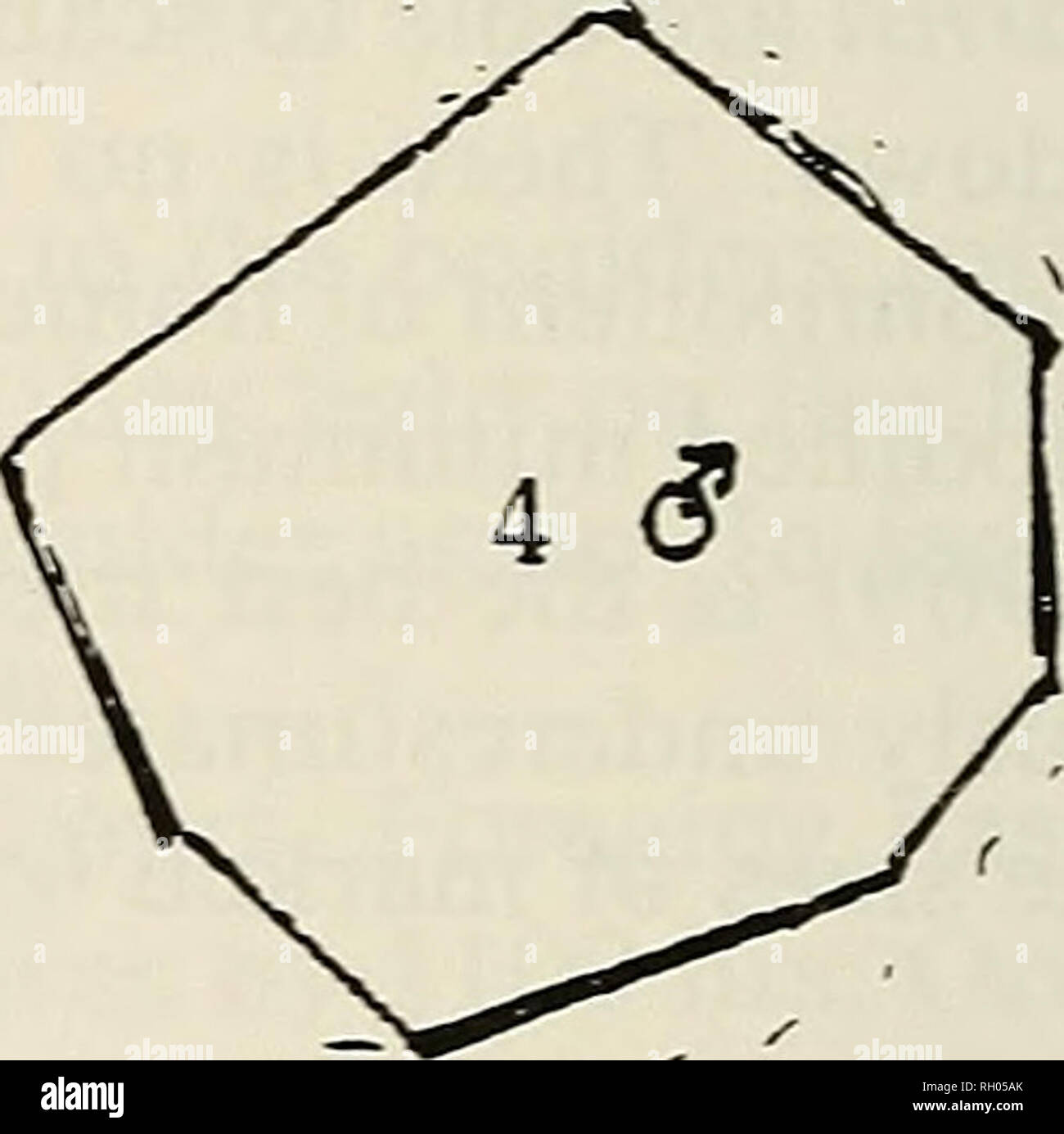 . Bulletin. Science; Natural history; Natural history. t N IE TERS Fig ...