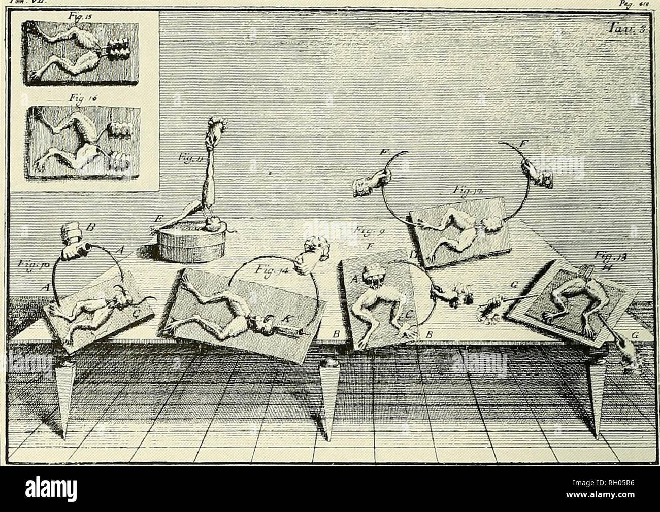 . Bulletin. Science. '. ^>^tisr.^^'T- Figure i.—Galvani's experiments ...