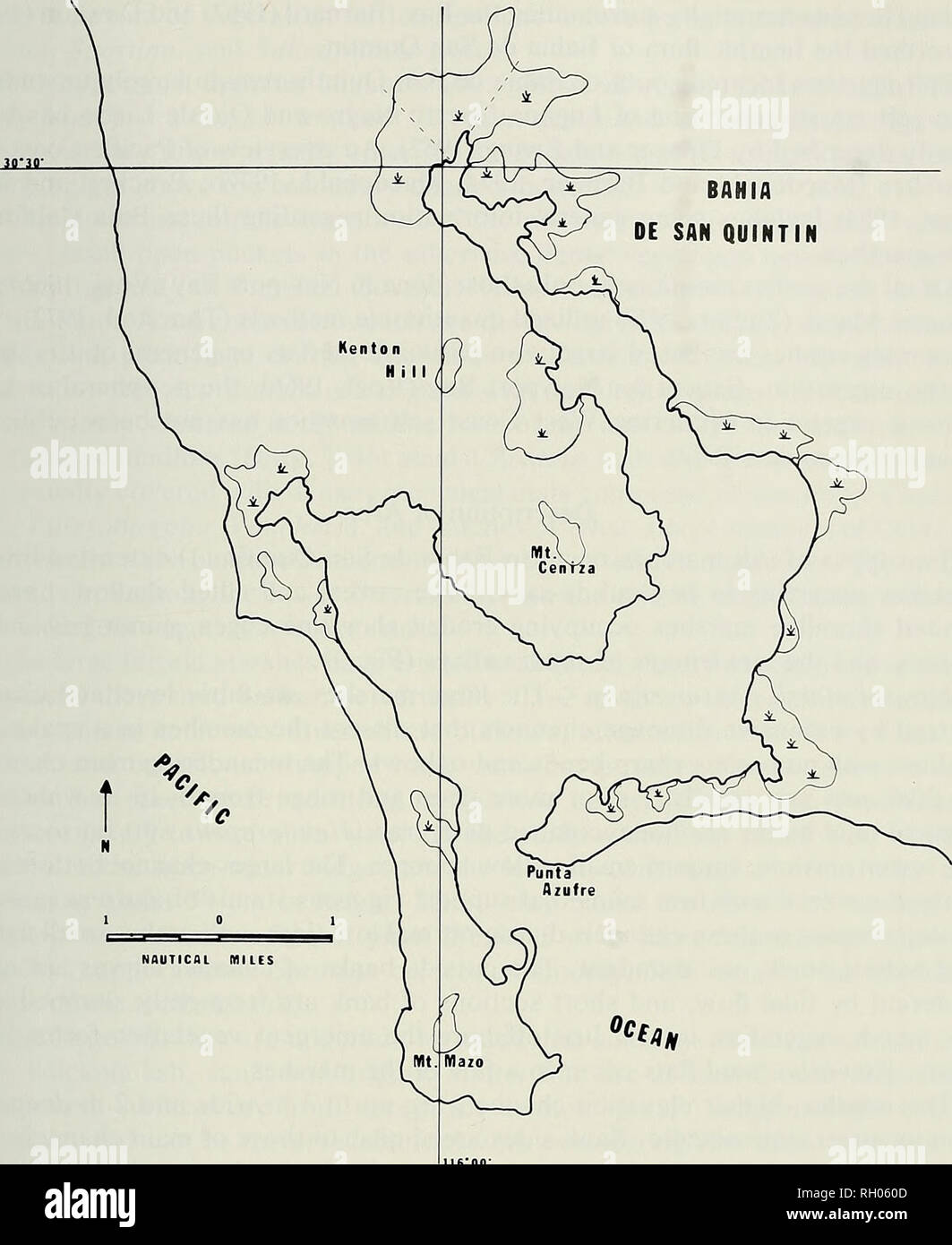 . Bulletin. Science; Natural history; Natural history. VEGETATION OF ...
