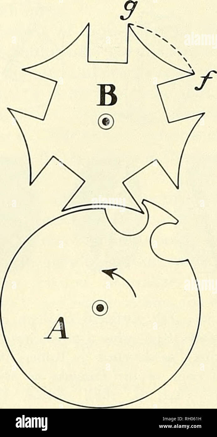 . Bulletin. Science. Figure 40.—Geneva stop mechanism first used in ...