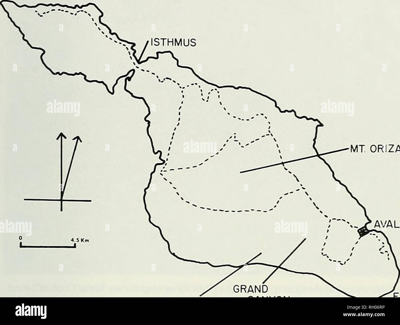 . Bulletin. Science; Natural history; Natural history. REPRODUCTION OF ...