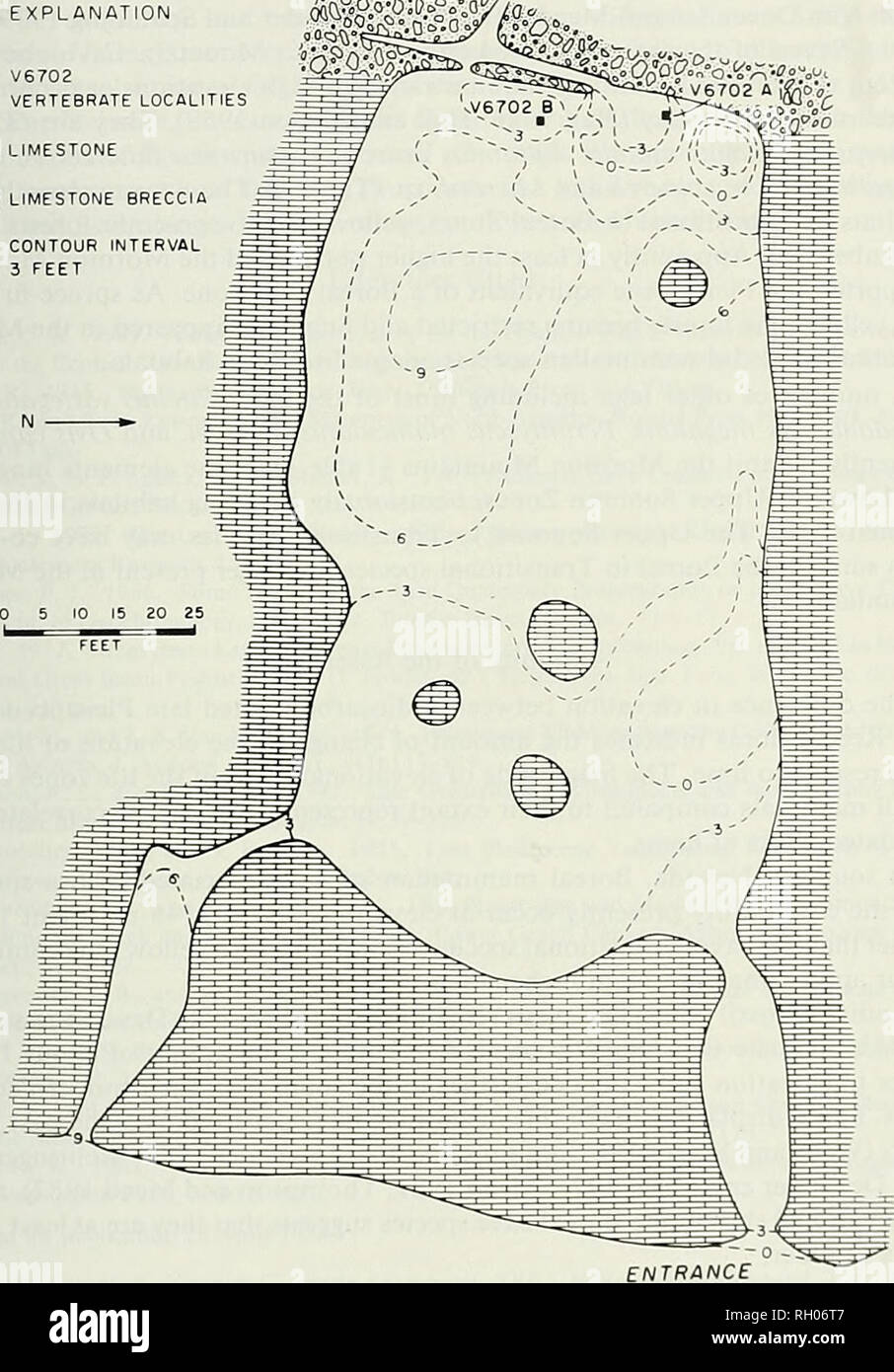 . Bulletin. Science; Natural history; Natural history. LATE PLEISTOCENE ...