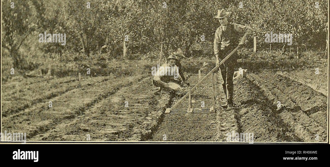 54 71 142 hi-res stock photography and images - Alamy