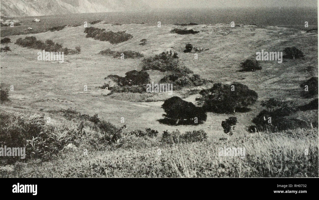 Miocene limestone cliffs hi-res stock photography and images - Alamy