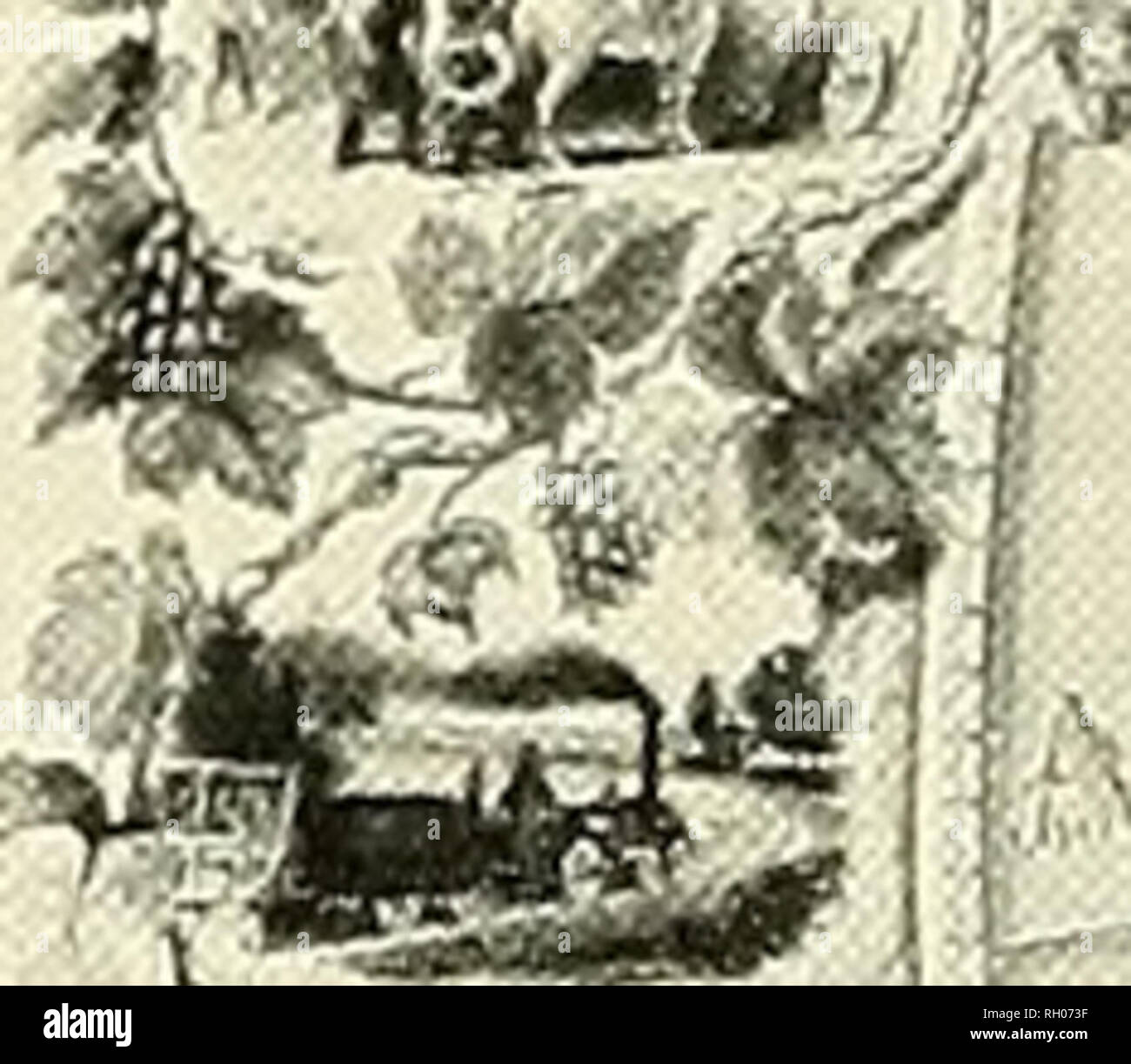 Henry fitz jr hi-res stock photography and images - Alamy