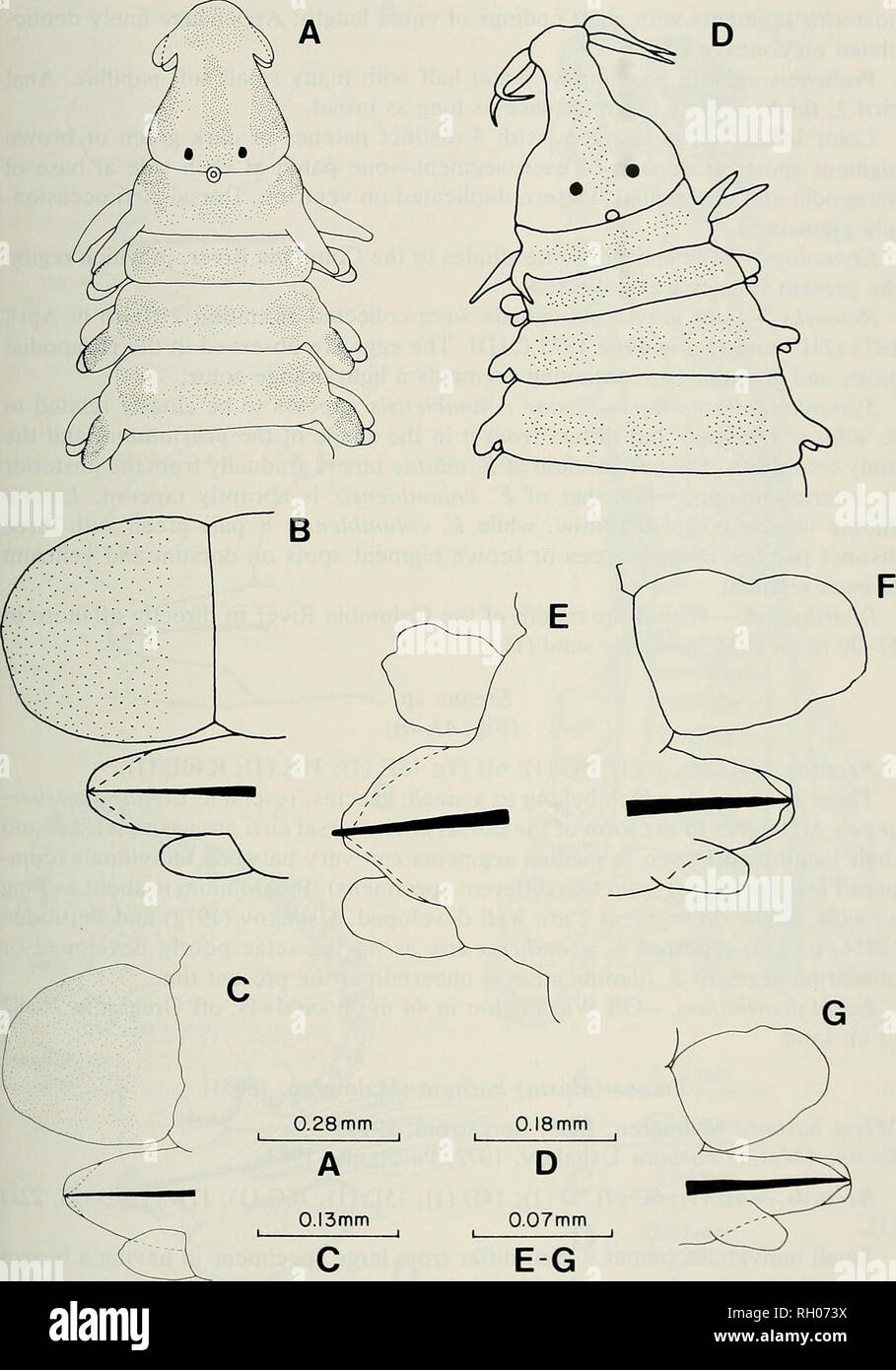 . Bulletin. Science; Natural history; Natural history. BENTHIC ...