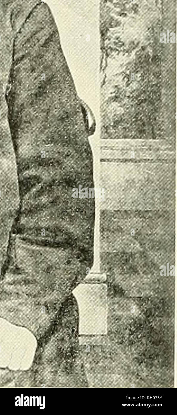 Henry fitz jr hi-res stock photography and images - Alamy