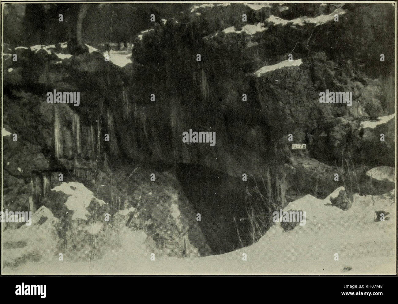 Wallace cave hi-res stock photography and images - Alamy