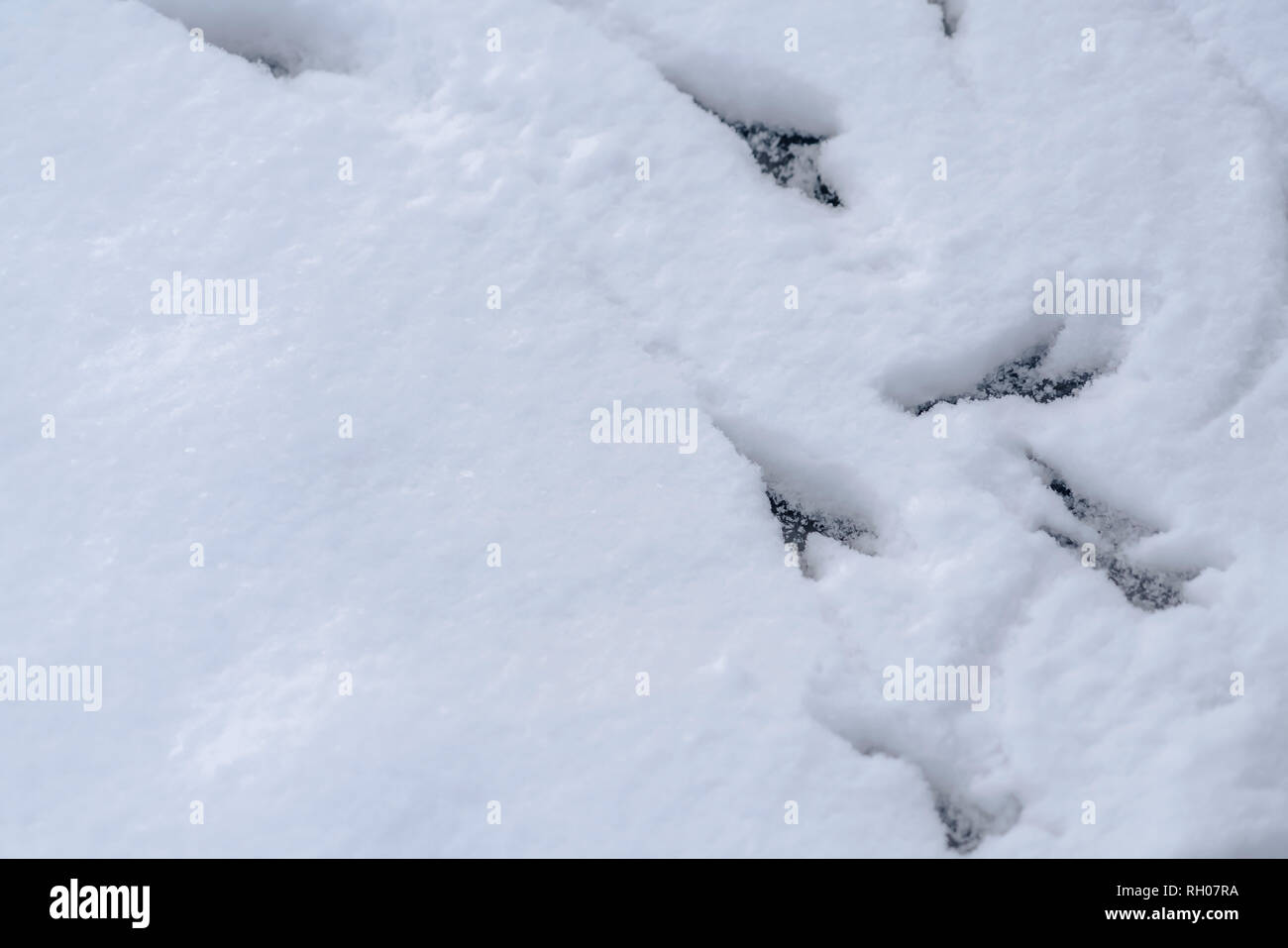 Deep foot prints hi-res stock photography and images - Alamy