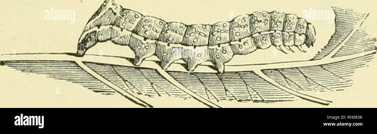 . Bulletin. Agriculture -- Massachusetts Periodicals; Fertilizers ...