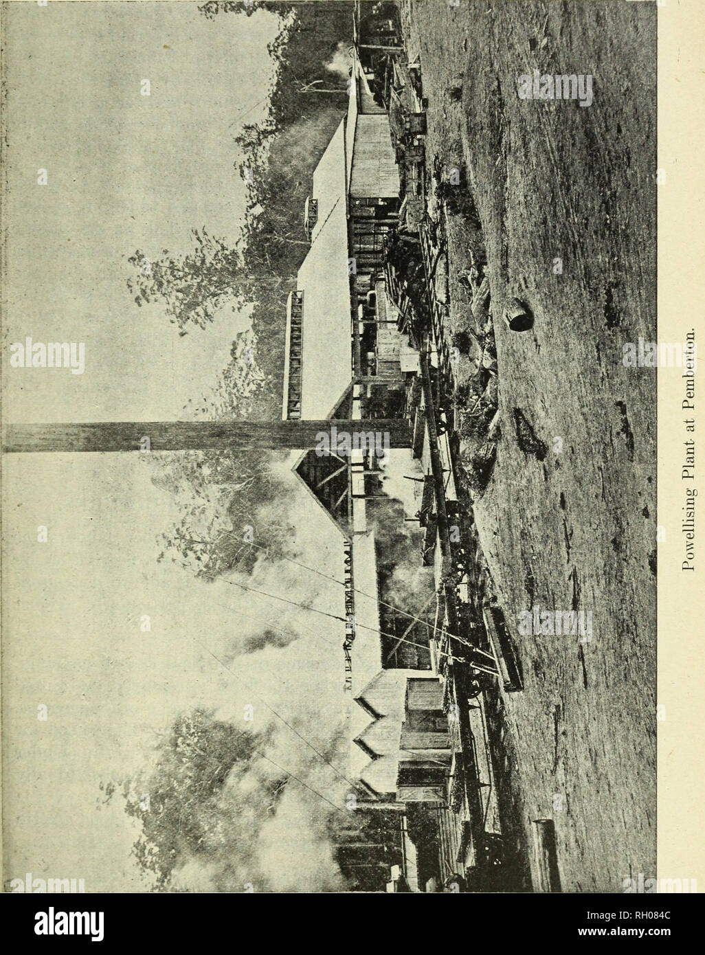 Marine borer hi-res stock photography and images - Alamy