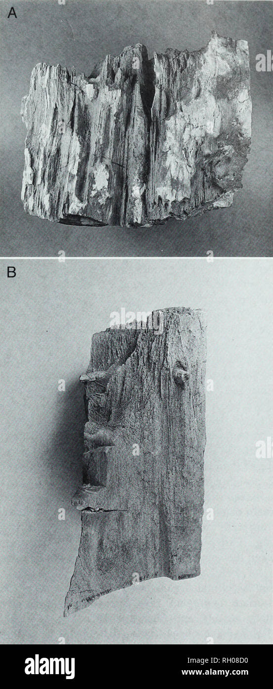 Width 150 Mm High Resolution Stock Photography and Images - Alamy