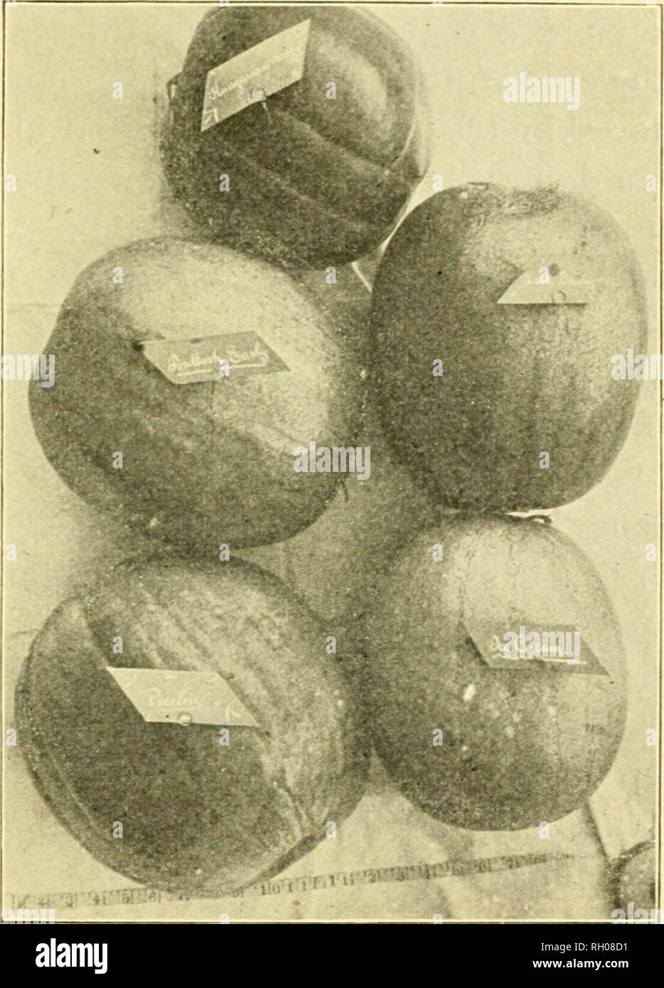 . Bulletin. Agriculture -- New Hampshire. THE WATERMELON S3 every two ...