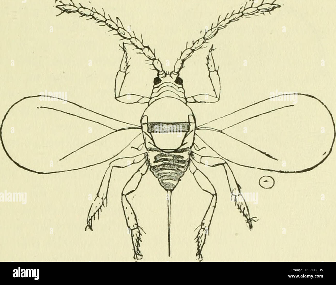 . Bulletin. Agriculture -- Massachusetts Periodicals; Fertilizers ...