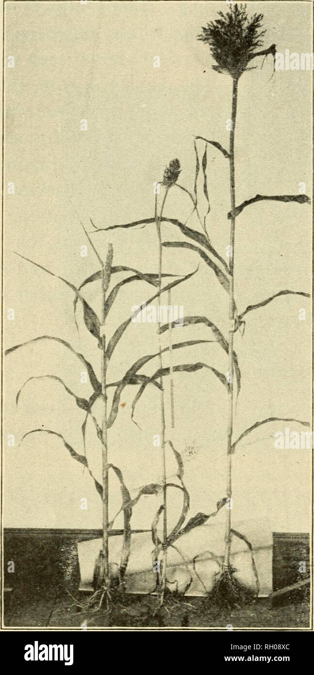 134 feet high hi-res stock photography and images - Alamy