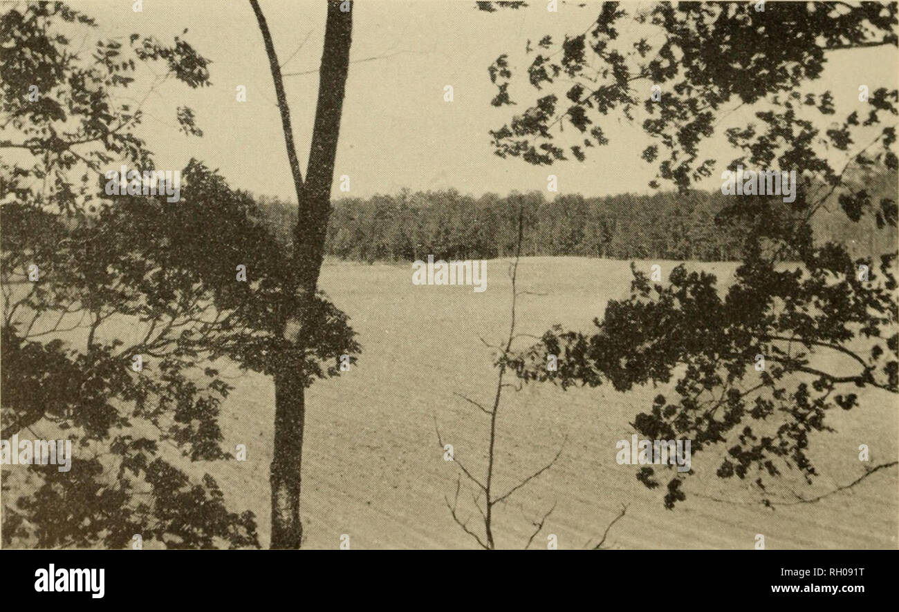 Nanih waiya hi-res stock photography and images - Alamy