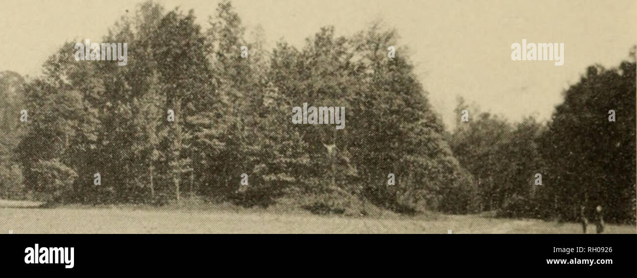 Nanih waiya hi-res stock photography and images - Alamy