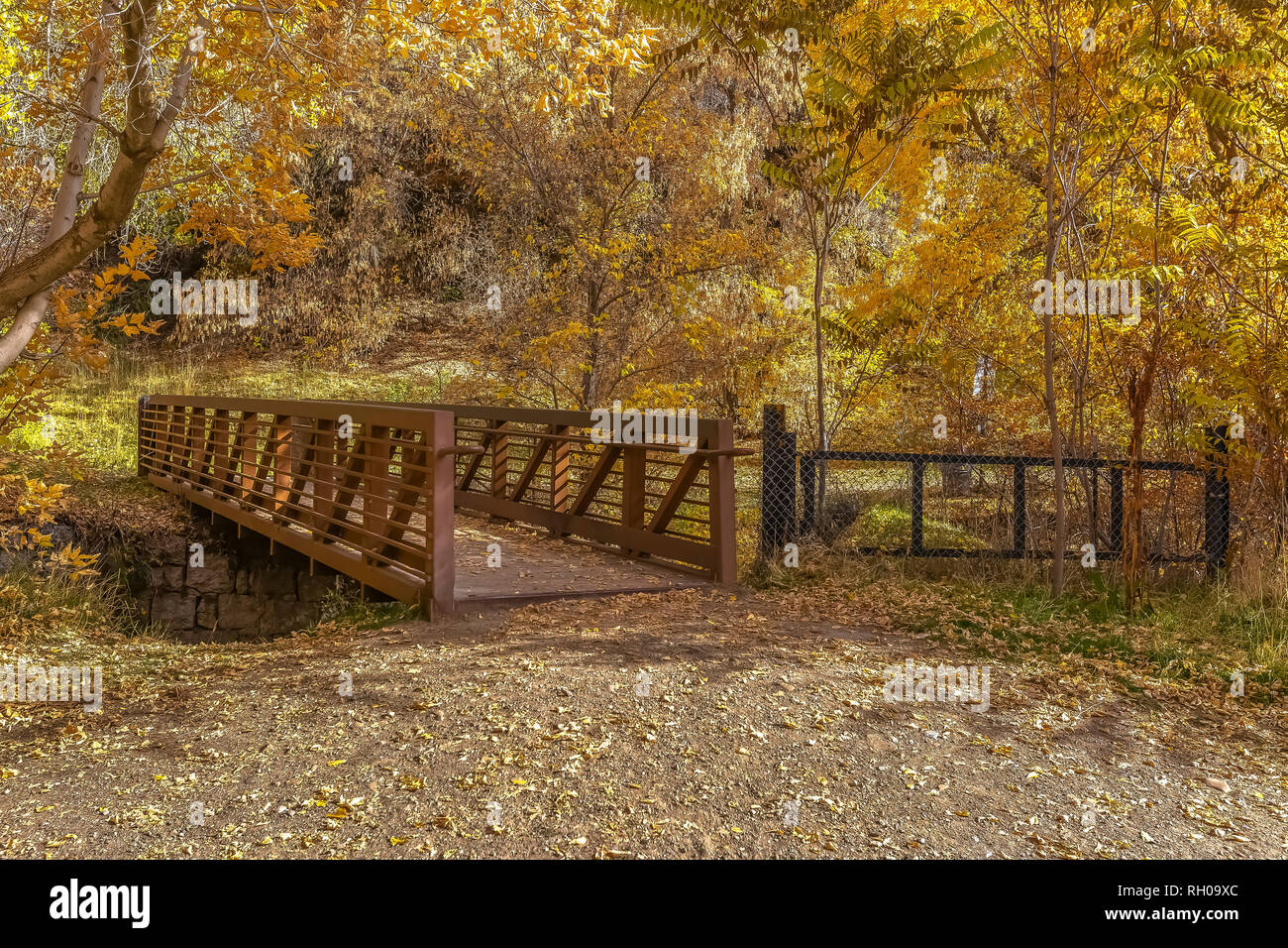 Bridge leading to the sunlit golden forest in Utah Stock Photo - Alamy