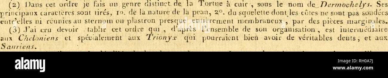 Tologie hi-res stock photography and images - Alamy