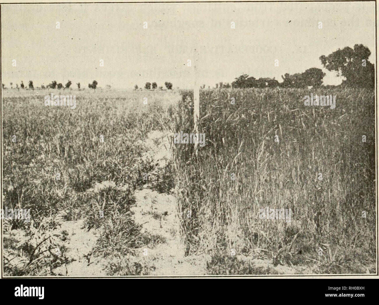 Yuma arizona farm hi-res stock photography and images - Alamy