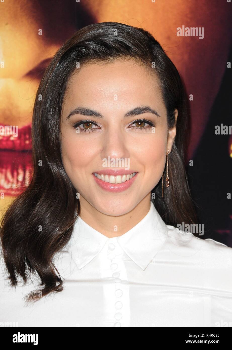 Los Angeles, CA, USA. 30th Jan, 2019. Cristina Rodlo at arrivals for ...