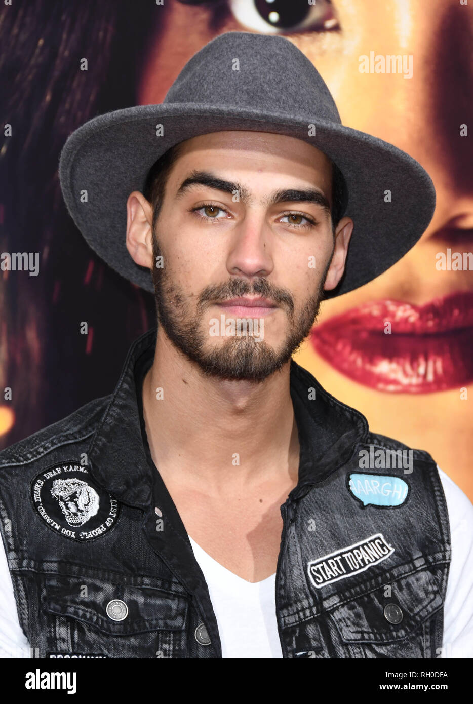 Los Angeles, CA, USA. 30th Jan, 2019. 30 January 2019 - Los Angeles ...