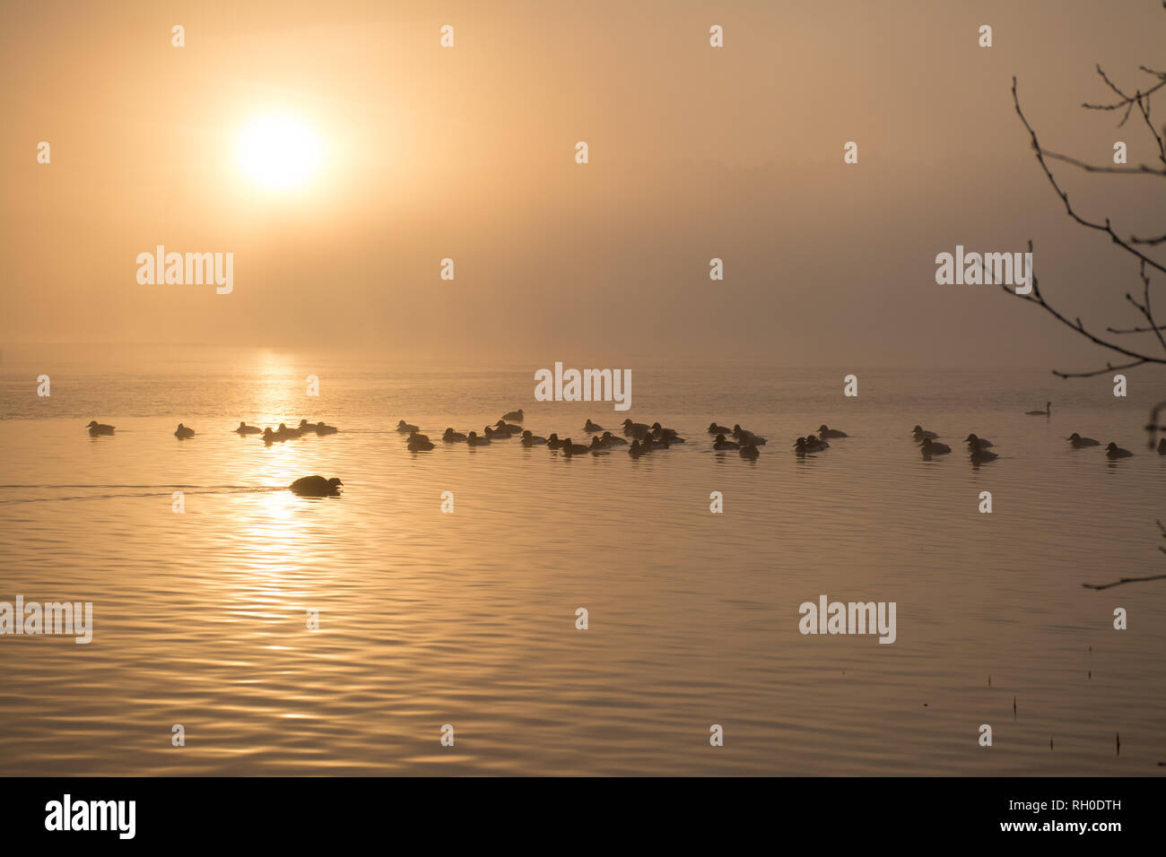 Beautiful scenes uk january hi-res stock photography and images - Alamy