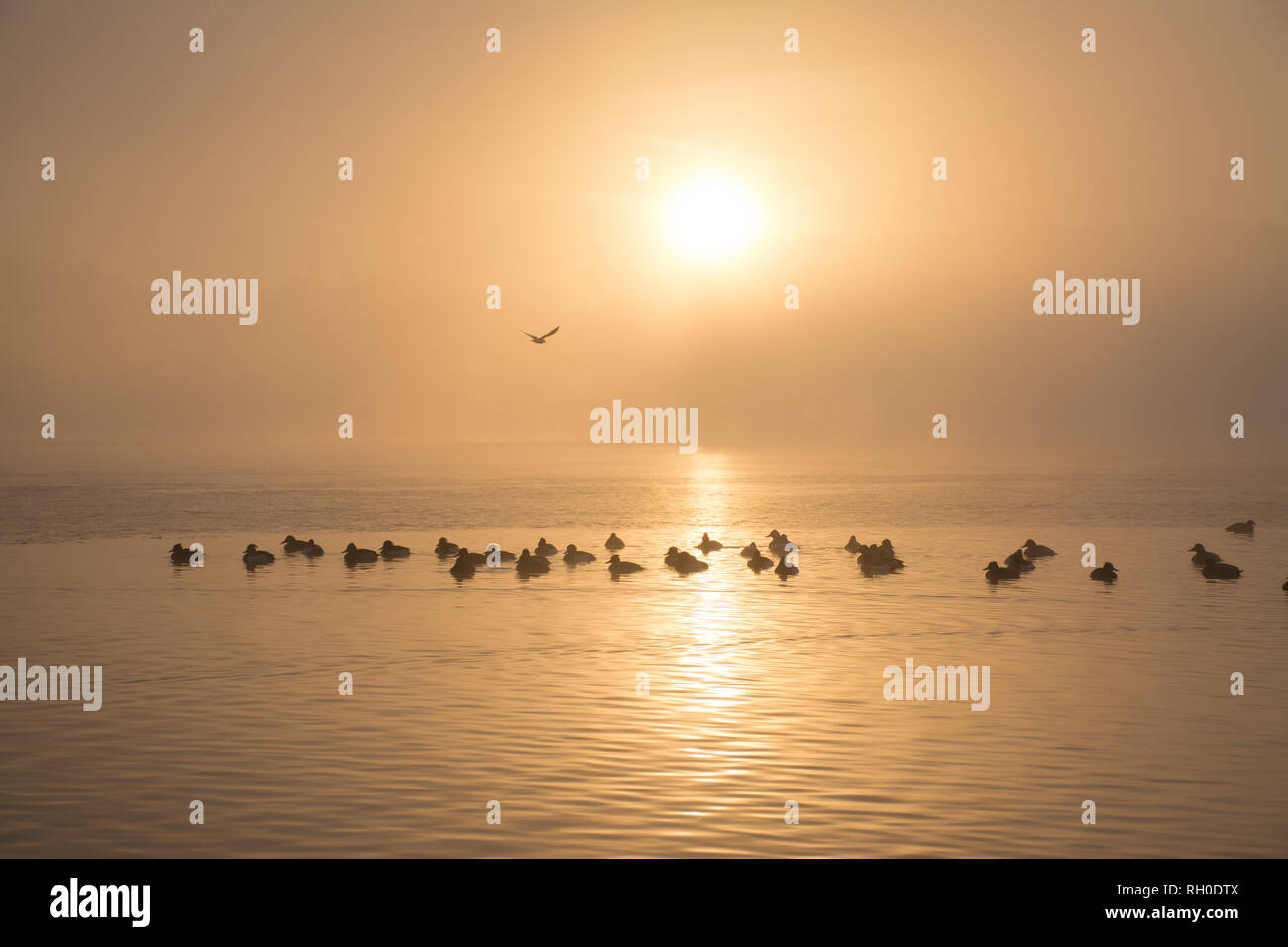 Beautiful scenes uk january hi-res stock photography and images - Alamy