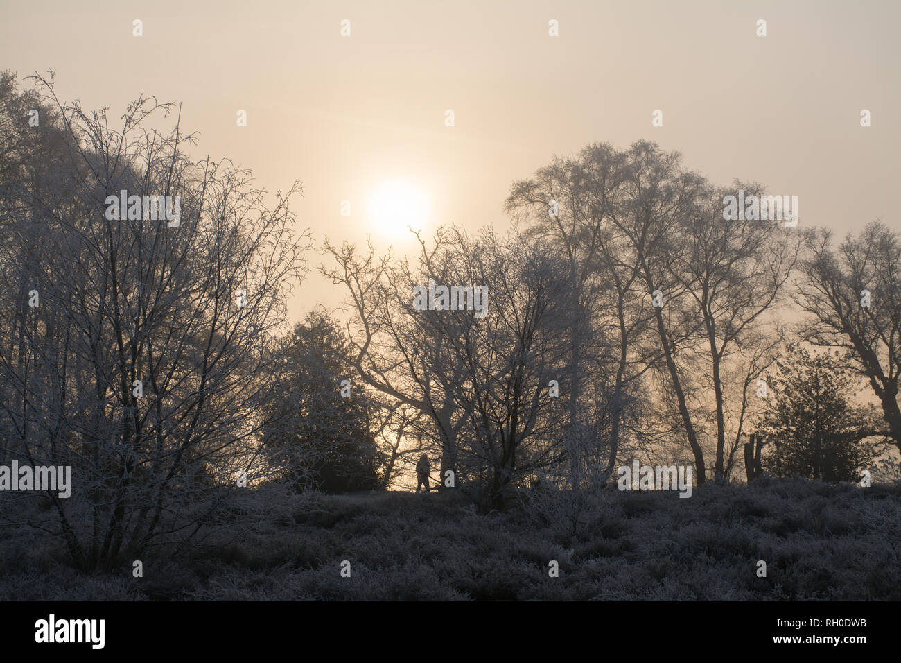 Beautiful scenes uk january hi-res stock photography and images - Alamy